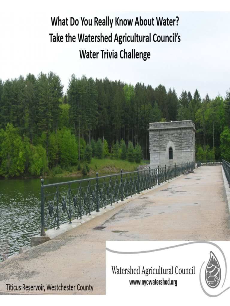 Water Trivia Questions | PDF | Water | Fahrenheit
