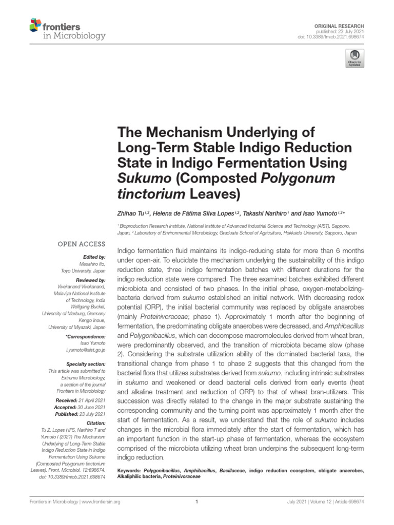 Indigo Fermentation and Microbial Dynamics | PDF | Polymerase Chain ...
