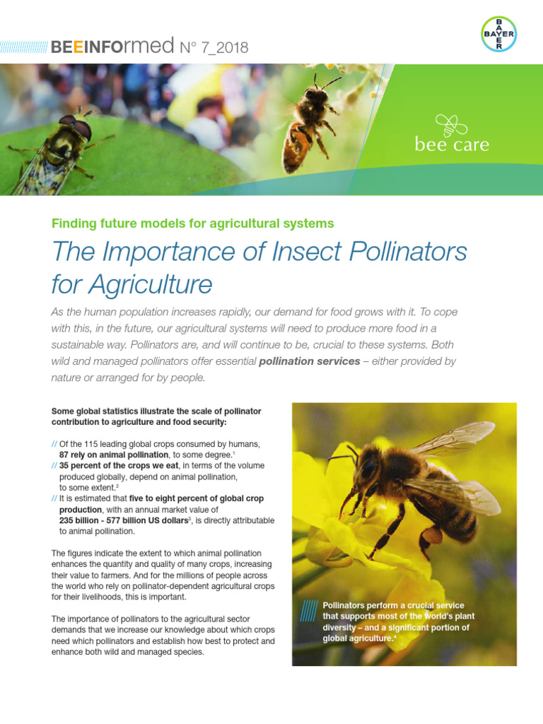 BEEINFOrmed - 7 - The Importance of Insect Pollinatorsjlouz8q1 | PDF ...