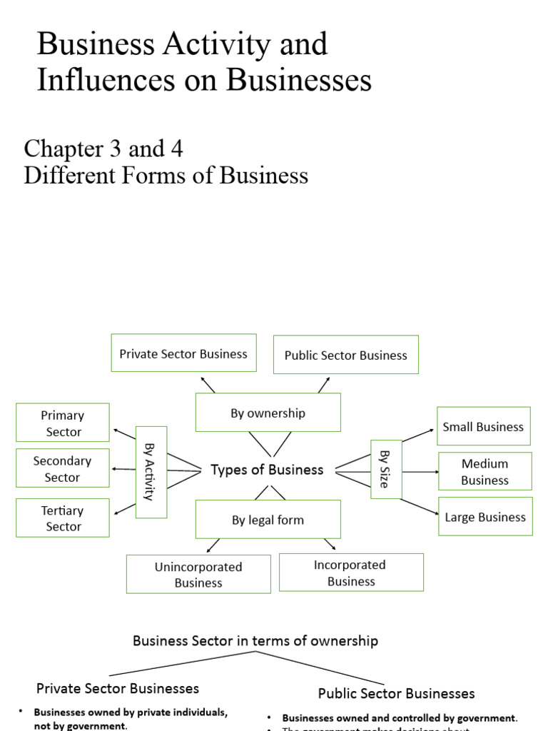Business Types and Ownership Structures | PDF | Franchising | Business