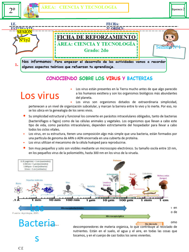 2° FICHA DE REFORZAMIENTO SESIÓN1Y2-EXP.2-CyT-1 | PDF | Las bacterias | Virus