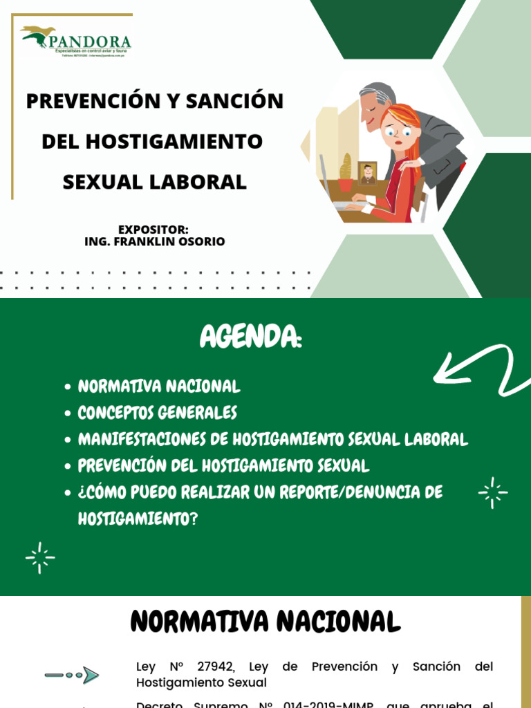 2024 Prevención Y Sanción Del Hostigamiento Sexual Laboral Pdf 6569