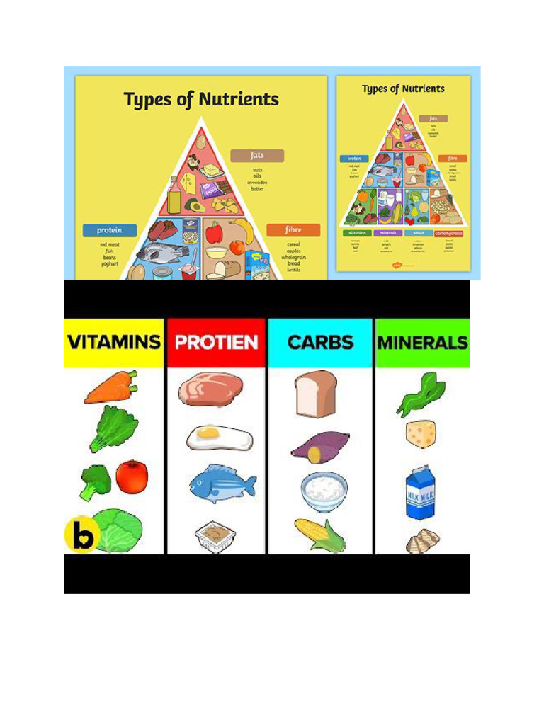 Food Nutrients | PDF