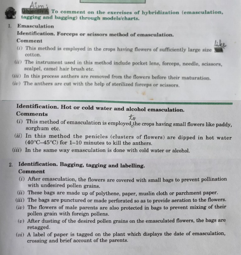 Spotting 8. Controlled Pollination - Emasculation, Tagging & Bagging ...