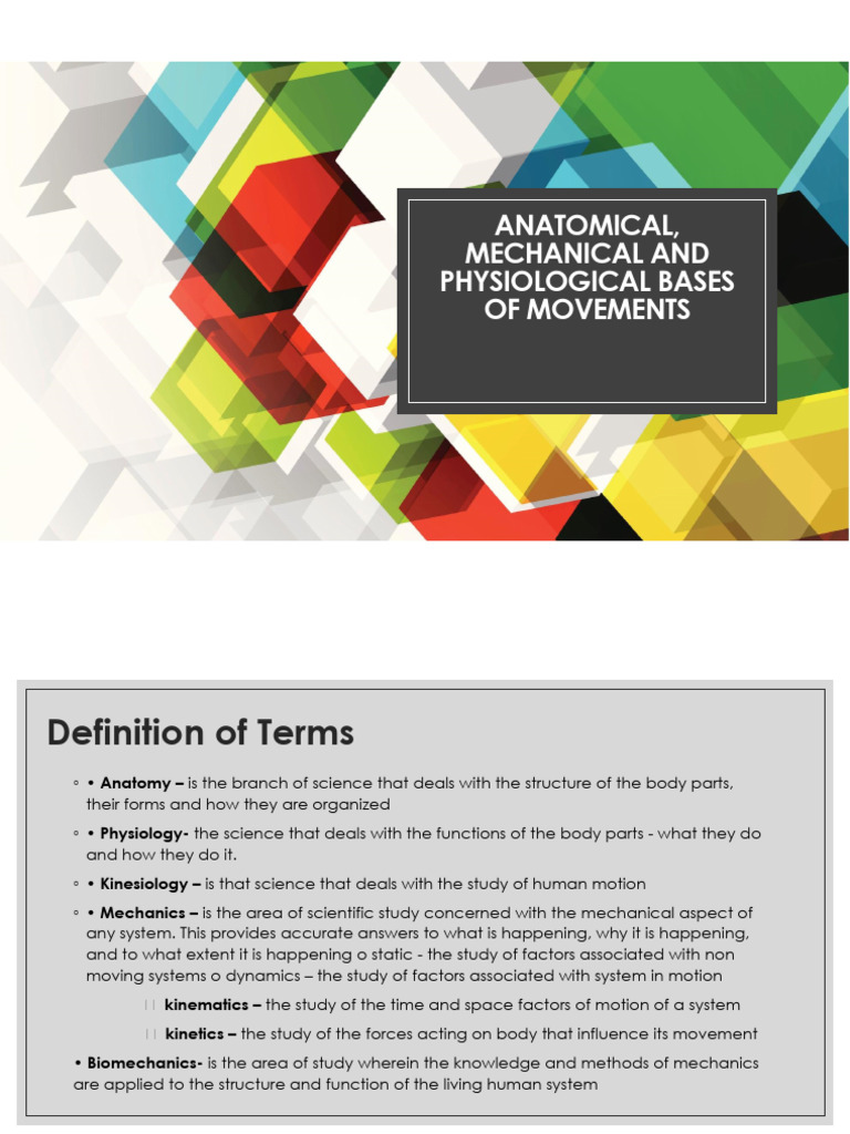 Anatomical Mechanical and Physiological Bases of Movements | PDF ...