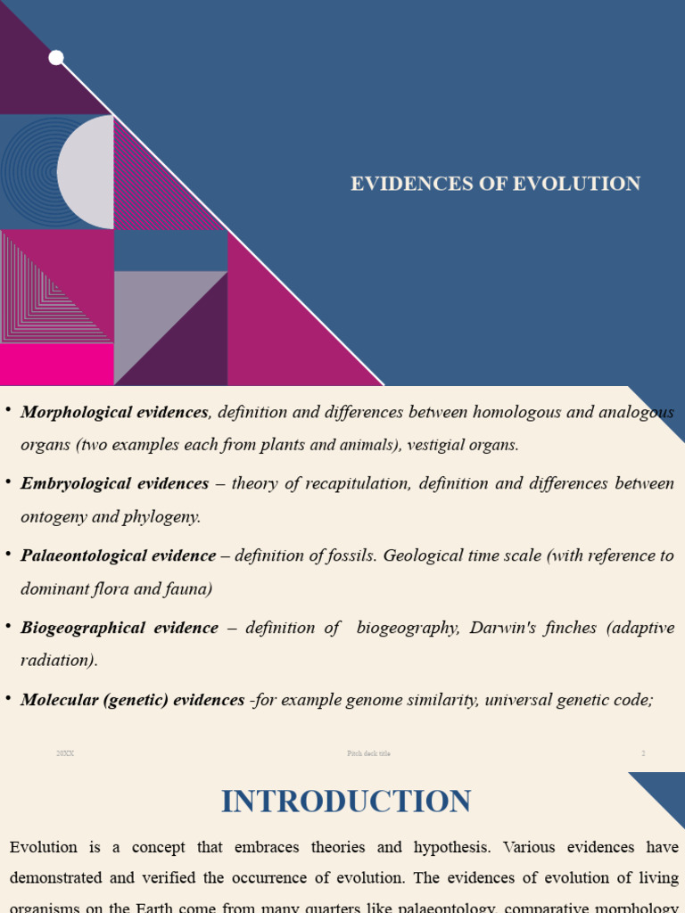 Evolution Evidences Of Evolution Pdf Geologic Time Scale