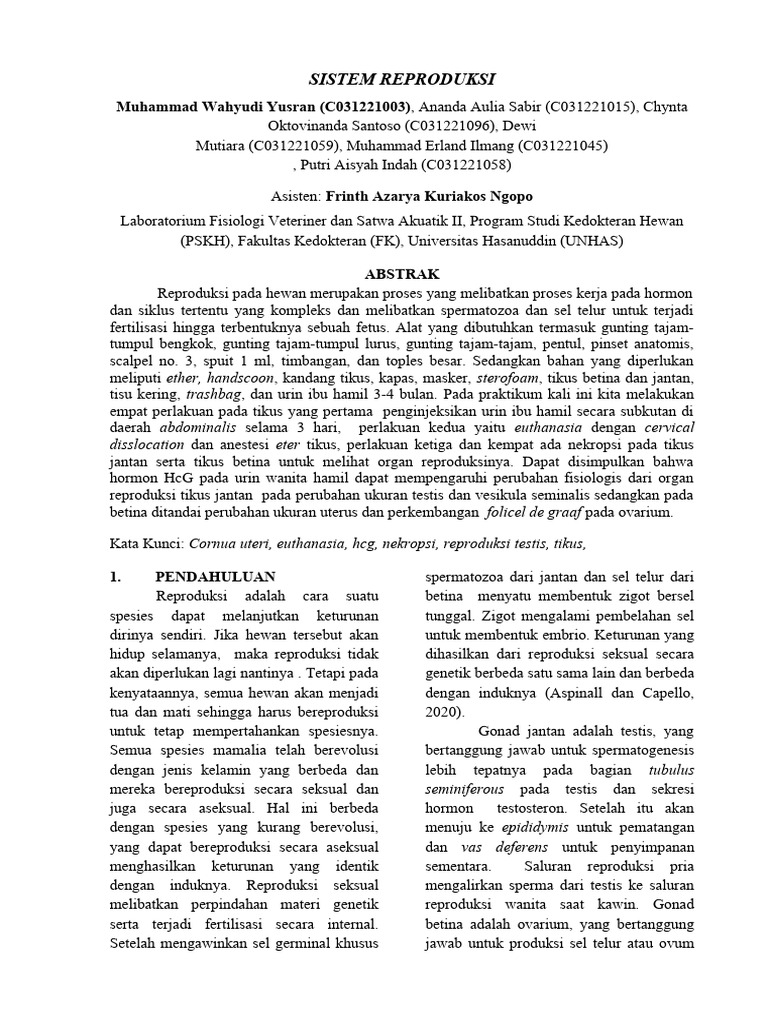 Pengaruh Urin Ibu Hamil pada Reproduksi Tikus | PDF | Sains & Matematika