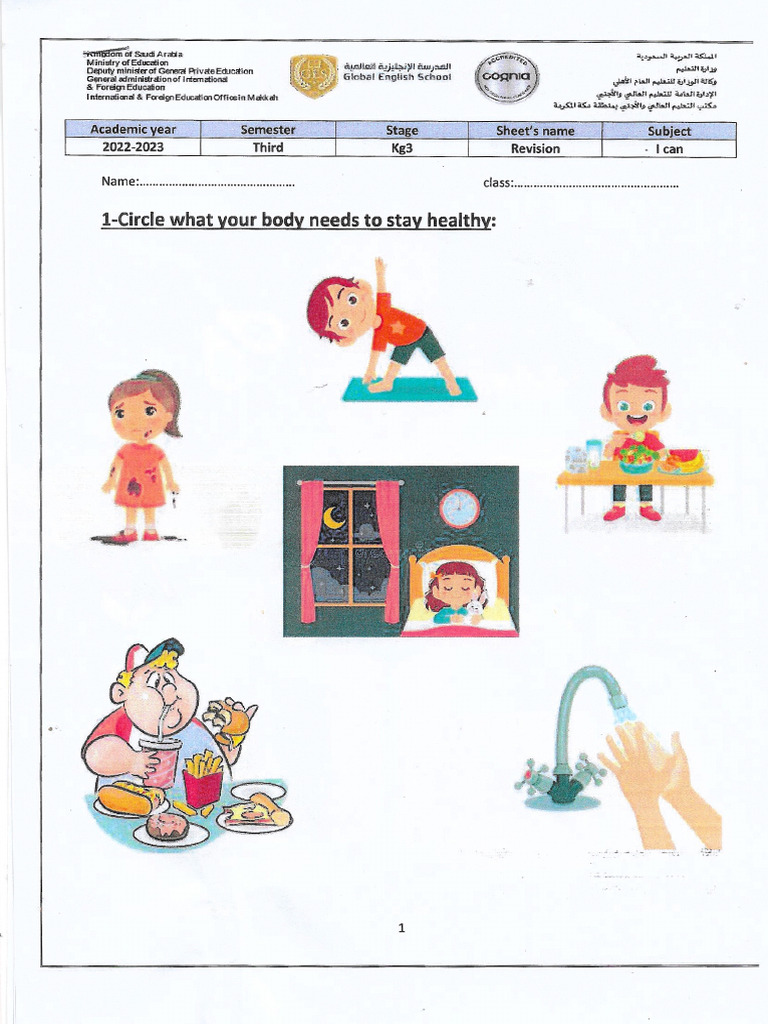 Revision Sheet I Can | PDF