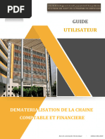 Système GID CT | PDF | Budget | Gouvernance