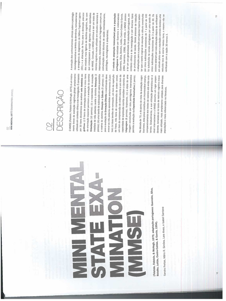 Mini Mental Pdf