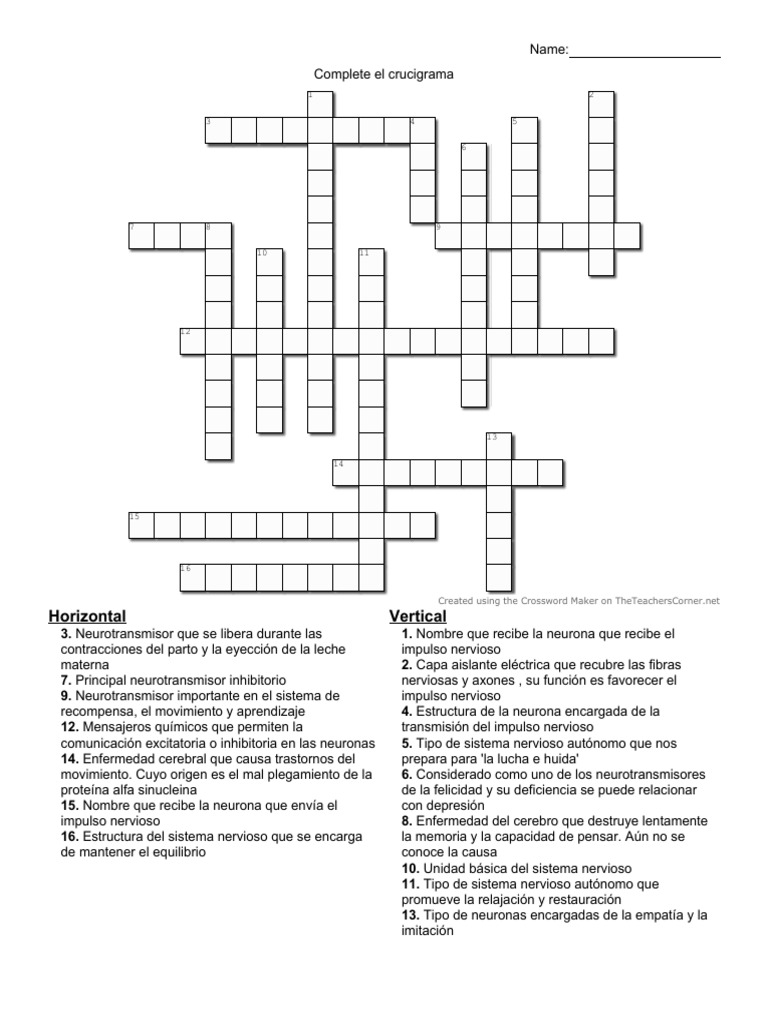 Crucigrama Sistema Nervioso | PDF | Sistema nervioso | Neurona