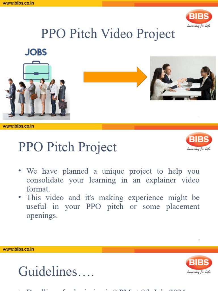 PPO Pitch Video Project | PDF