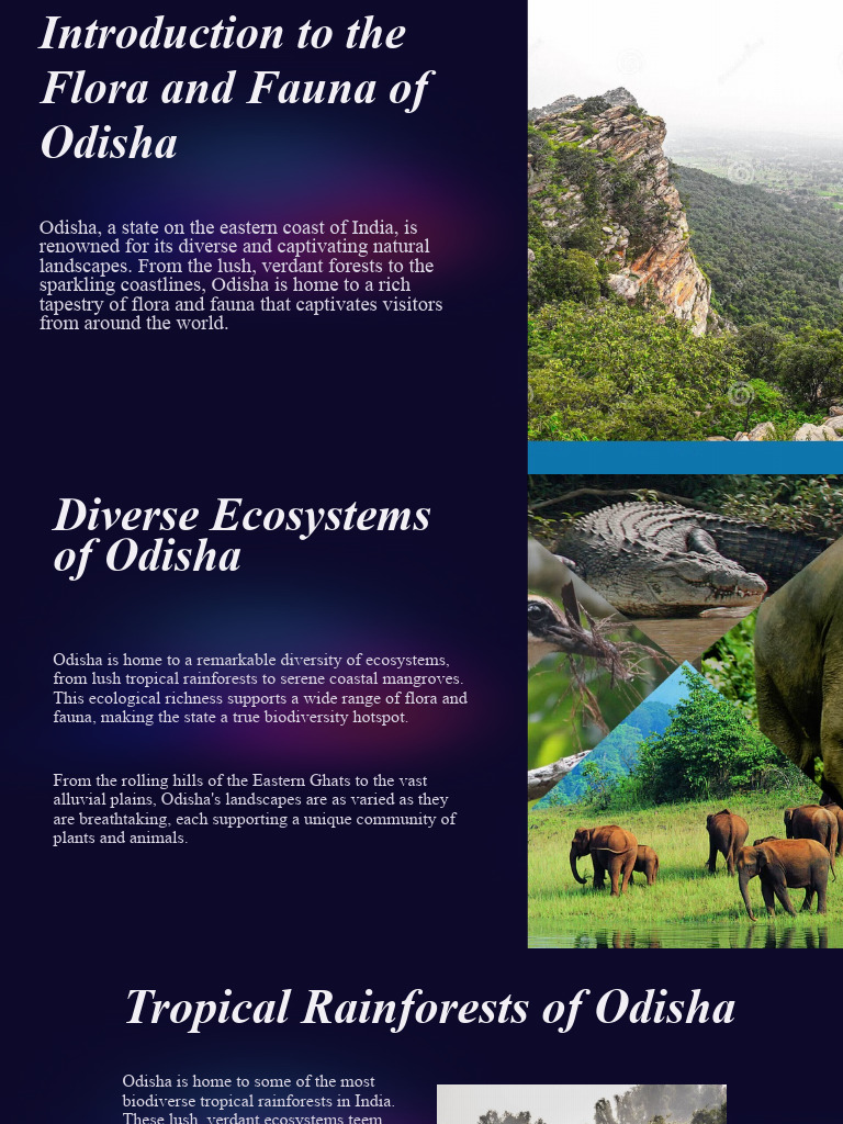 Introduction to the Flora and Fauna of Odisha | PDF | Mangrove | Biodiversity