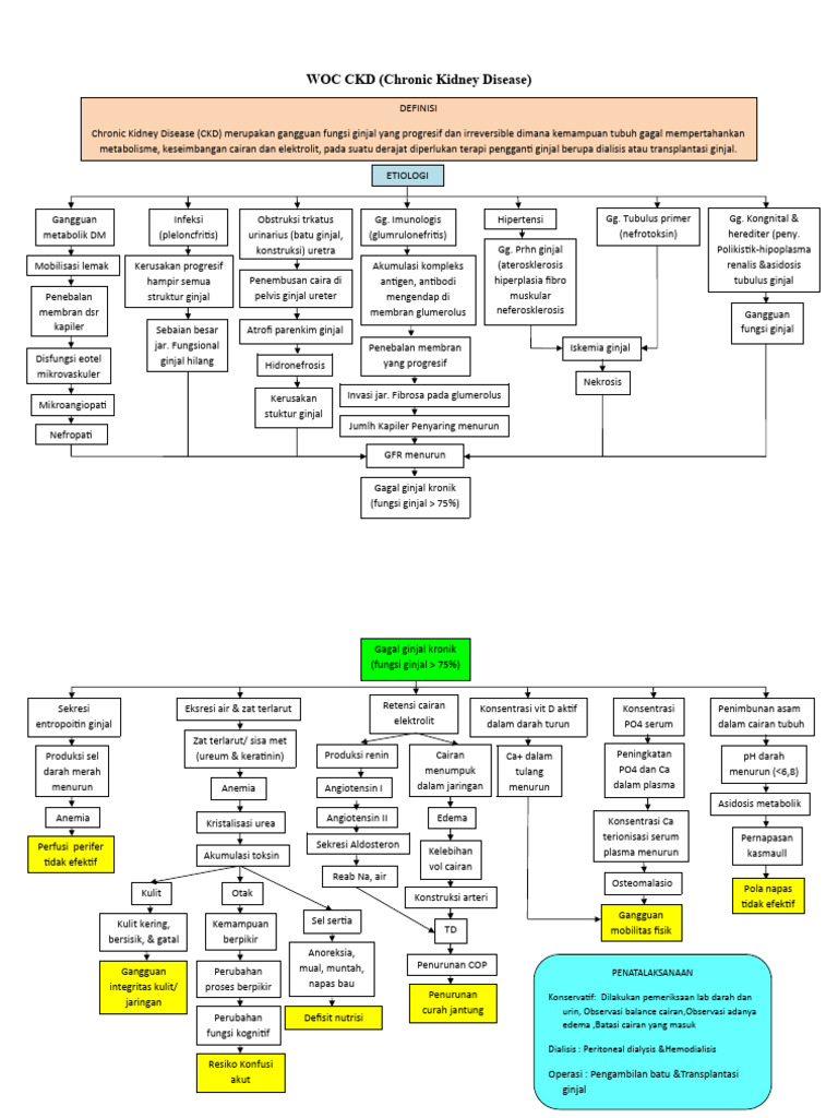 WOC CKD (Chronic Kidney Disease | PDF