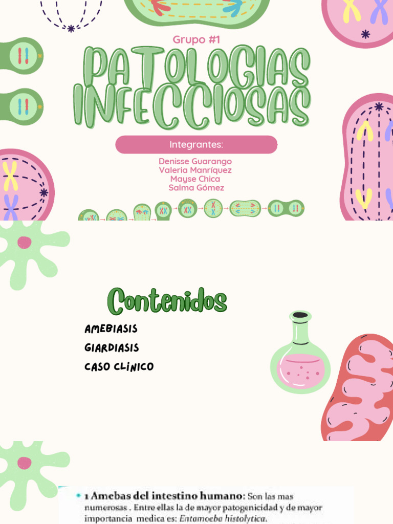 Amebas | PDF | Especialidades Medicas | Microbiología