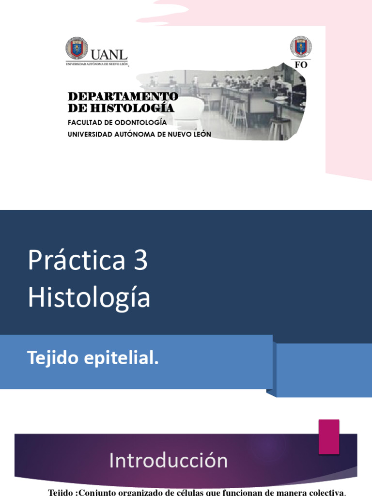 LAB HISTO Practica 3 | PDF | Epitelio | Histología
