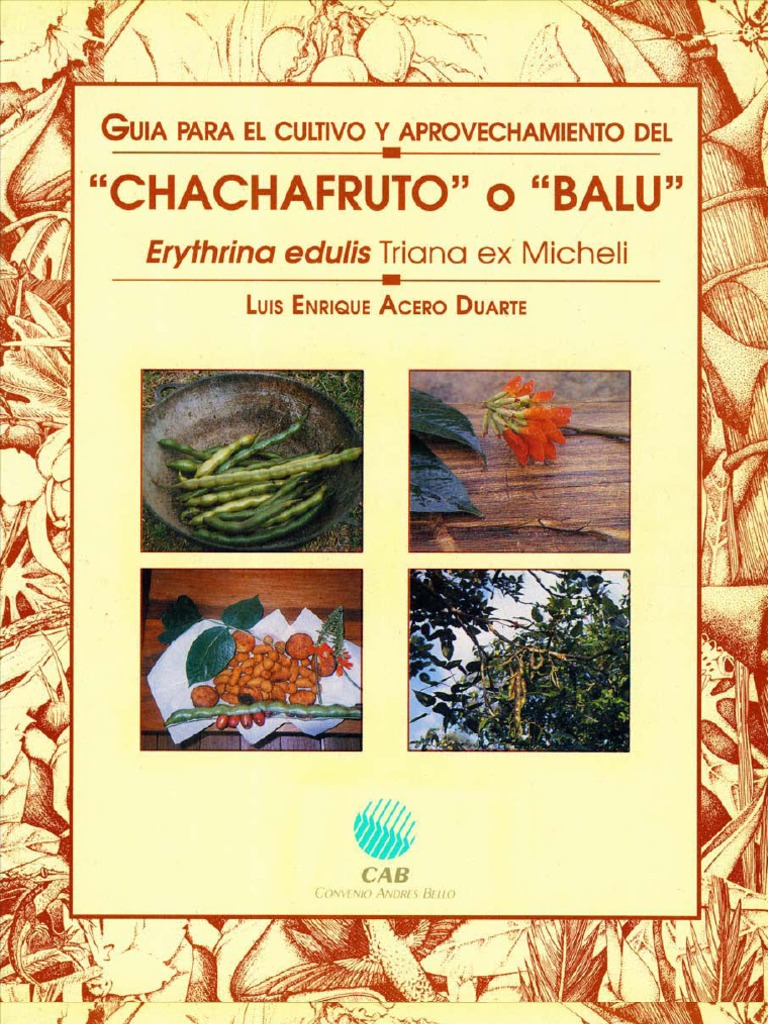 chachafruto arbol milagroso | Panes | Alimentos