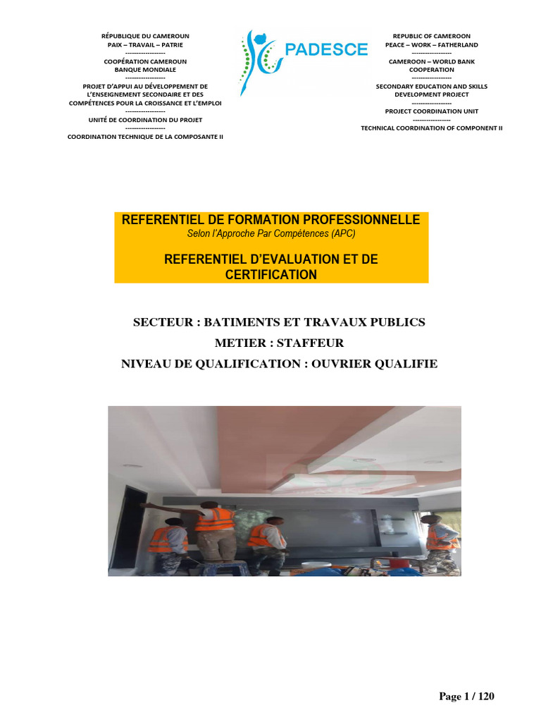 Reva Staffeur | PDF | Compétence (Ressources humaines) | Apprentissage