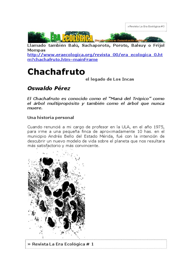 Chachafruto, Llamado También Balú | PDF | Alimentos | Homo Sapiens