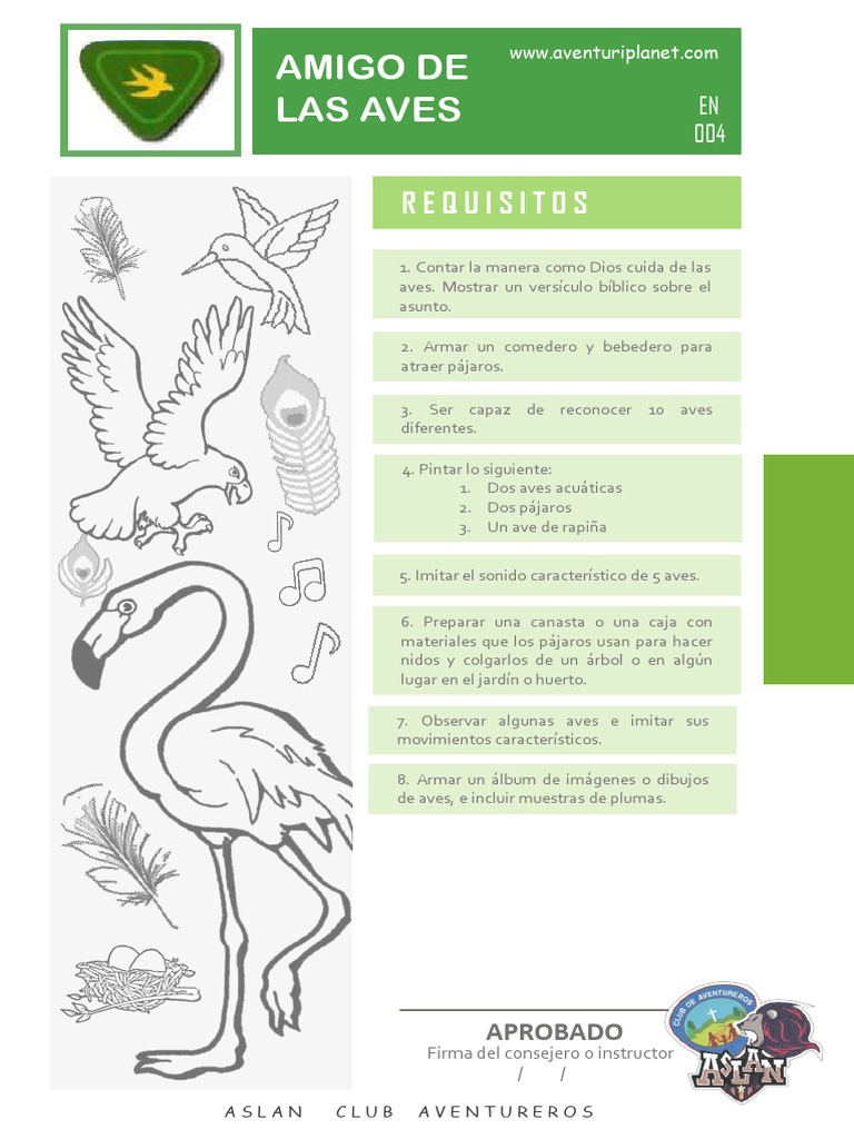 Cuadernillo Rayitos de Sol P3 | PDF | Aves | Zoología