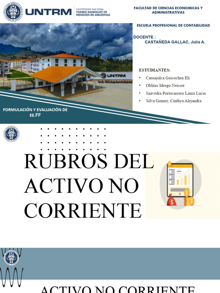 RUBROS DEL ACTIVO NO CORRIENTE | PDF | Inversiones | Compartir (Finanzas)