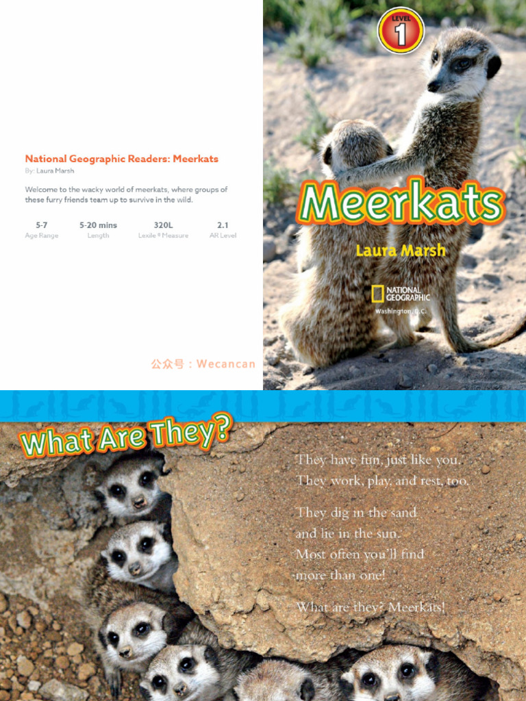 02-Meerkats | PDF