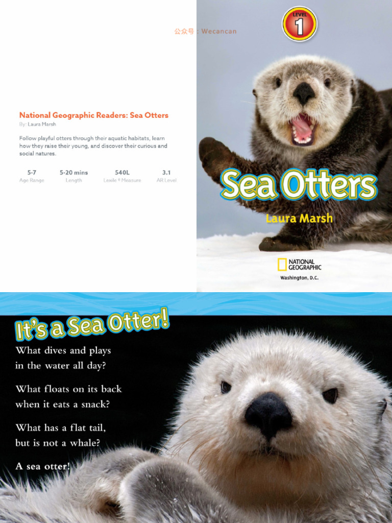 06-Sea Otters | PDF