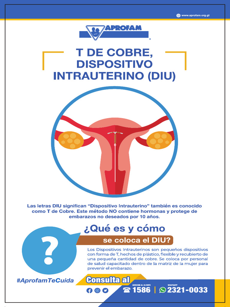 3 DIU Dispositivo Intrauterino | PDF