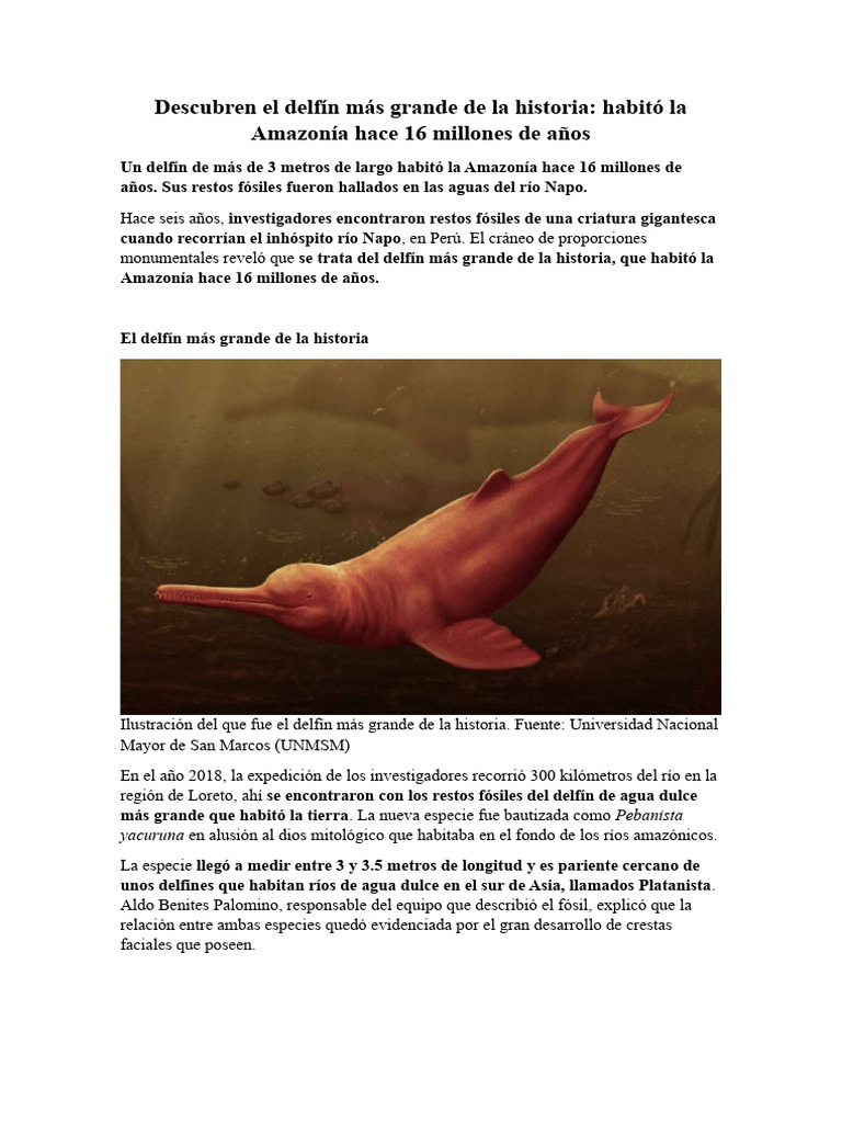 Descubren El Delfín Más Grande de La Historia | PDF | Selva amazónica ...