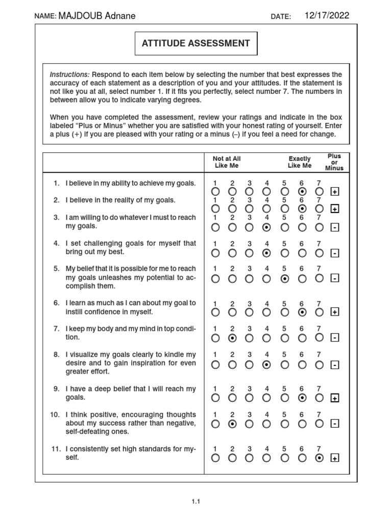 Attitude Assessment | PDF | Mind | Cognitive Science