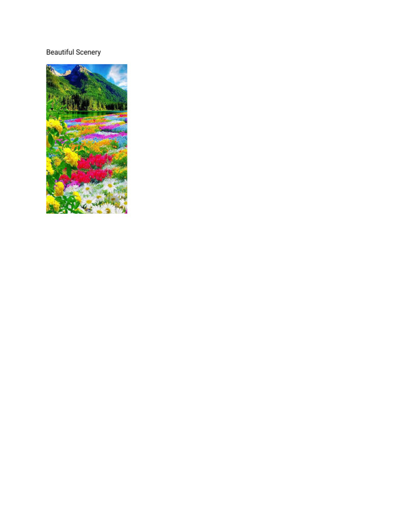 Beautiful Scenery | PDF