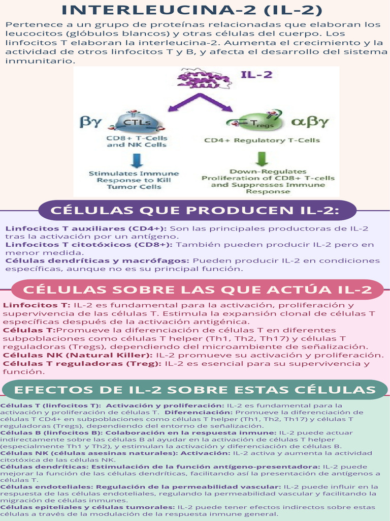 Interleucina-2: Función y Efectos | PDF | Célula T | Interleucina 2
