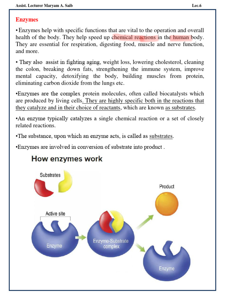 Lec 6 | PDF | Enzyme | Glycolysis