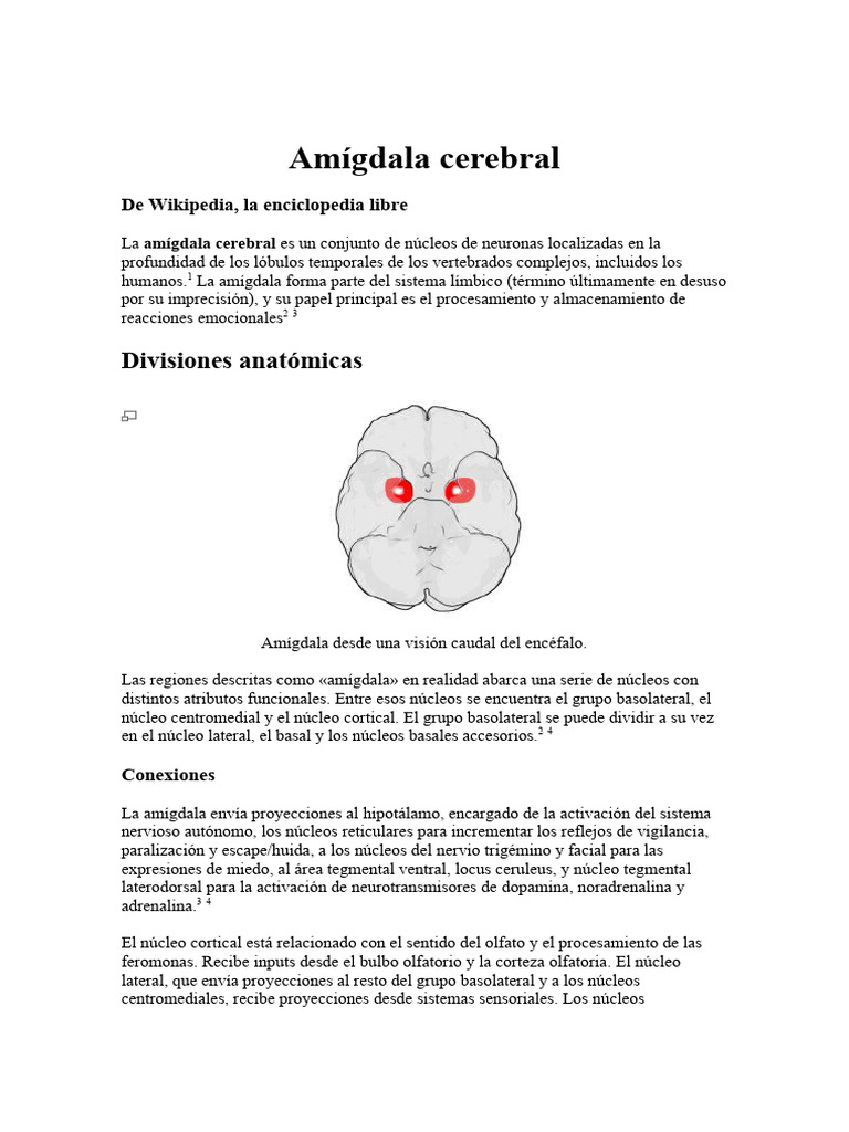 Amígdala Cerebral - DOCUMENTO | PDF | Amígdala | Neurociencia