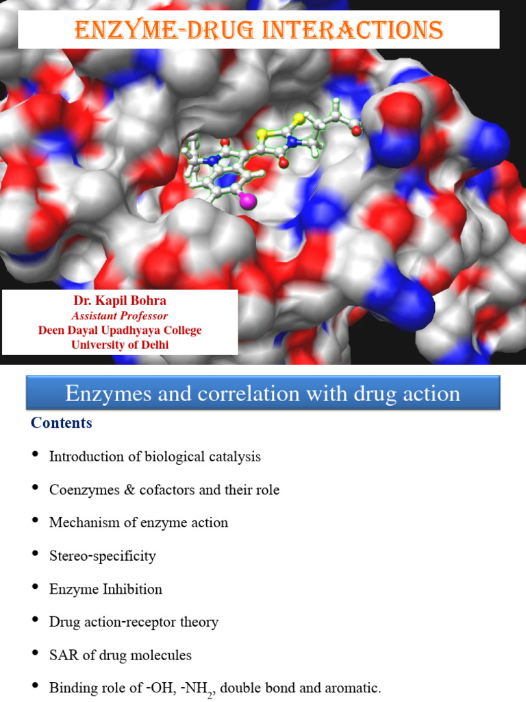 Enzyme | PDF | Enzyme | Cofactor (Biochemistry)