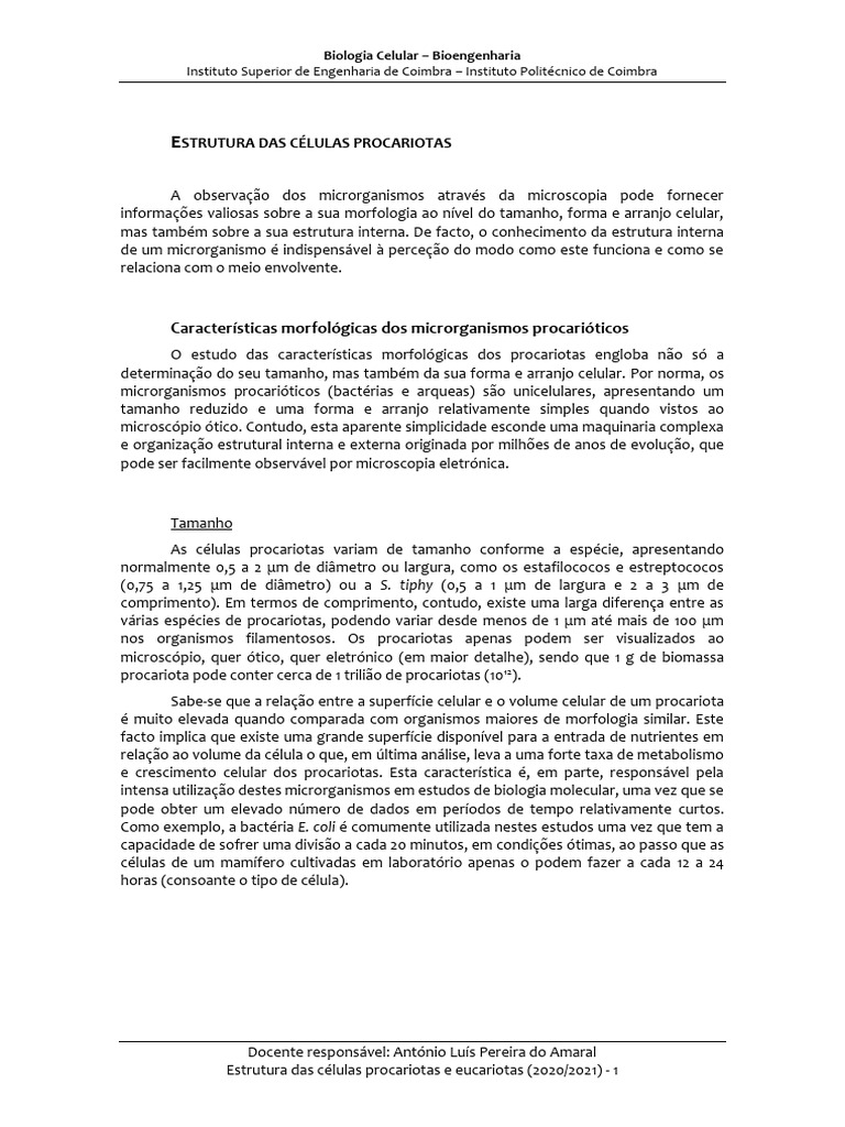 Cap II - Estrutura Das C Lulas Procariotas e Eucariotas - 2020-2021 | PDF | Célula (Biologia ...