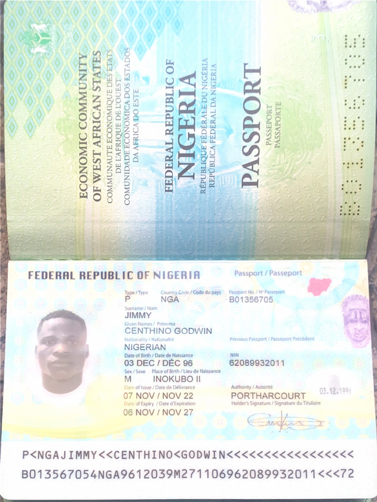 Full Scanned International Passport | PDF