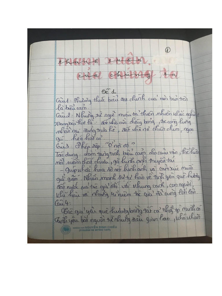 VCAP đề 1 | PDF