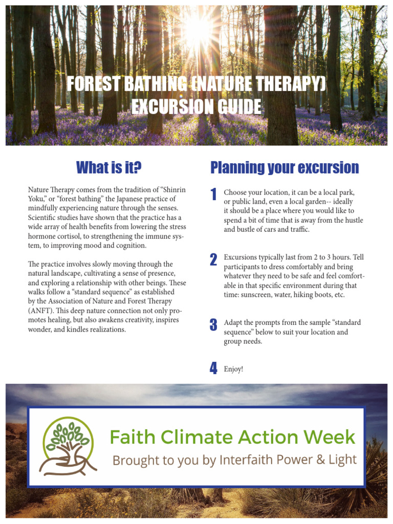 2019 Forest Bathing Guide DIY Final | Download Free PDF | Senses | Desert