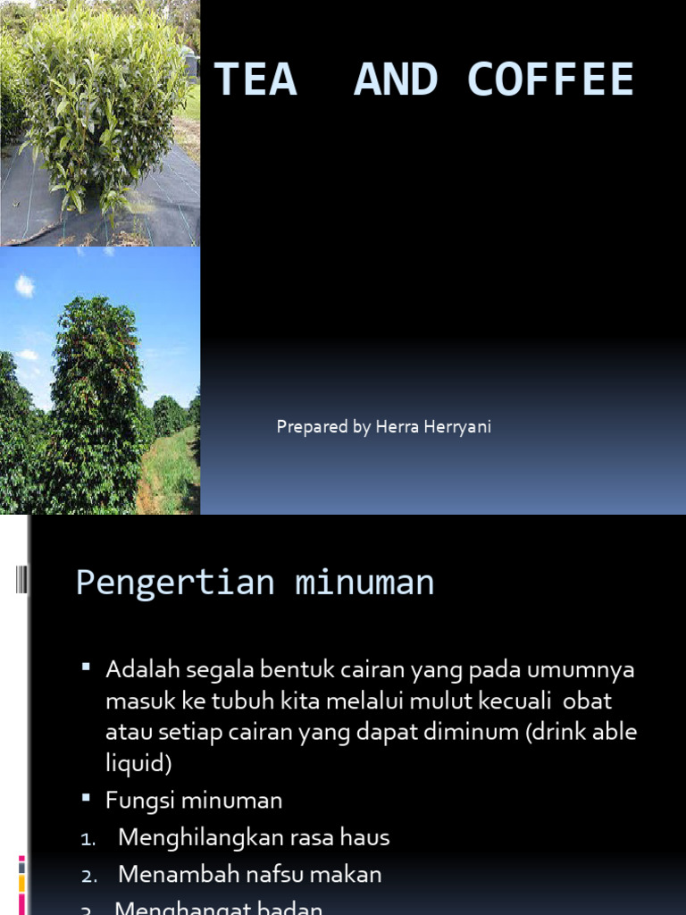 Tea & Cofee - 120454 | PDF