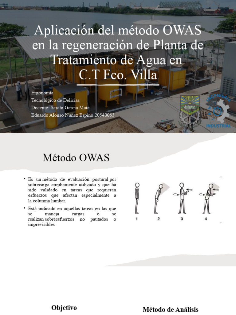 Aplicación Del Método OWAS en La Regeneración de | PDF | Factores humanos y ergonomía