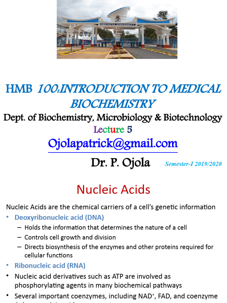 HMB 100 Lect. 5 | PDF | Nucleotides | Nucleic Acids