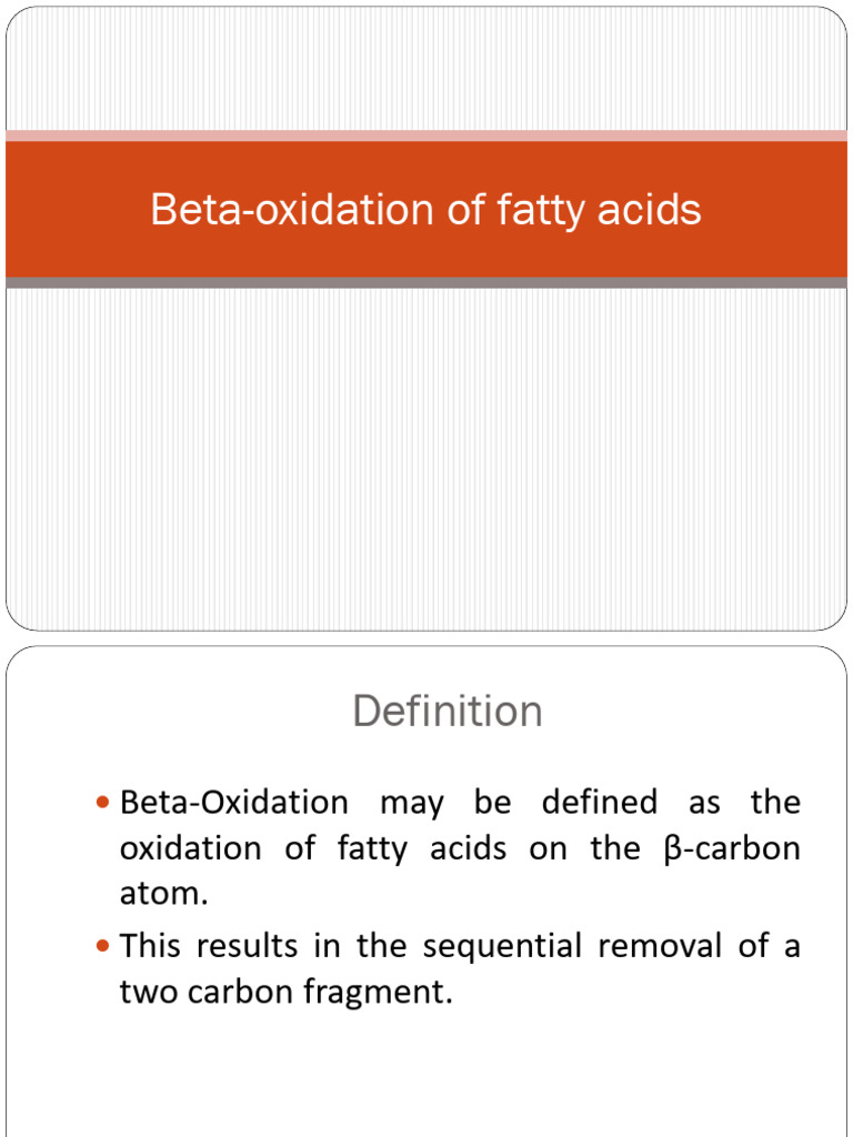 Beta-Oxidation of Fatty Acids Explained | PDF | Adenosine Triphosphate ...