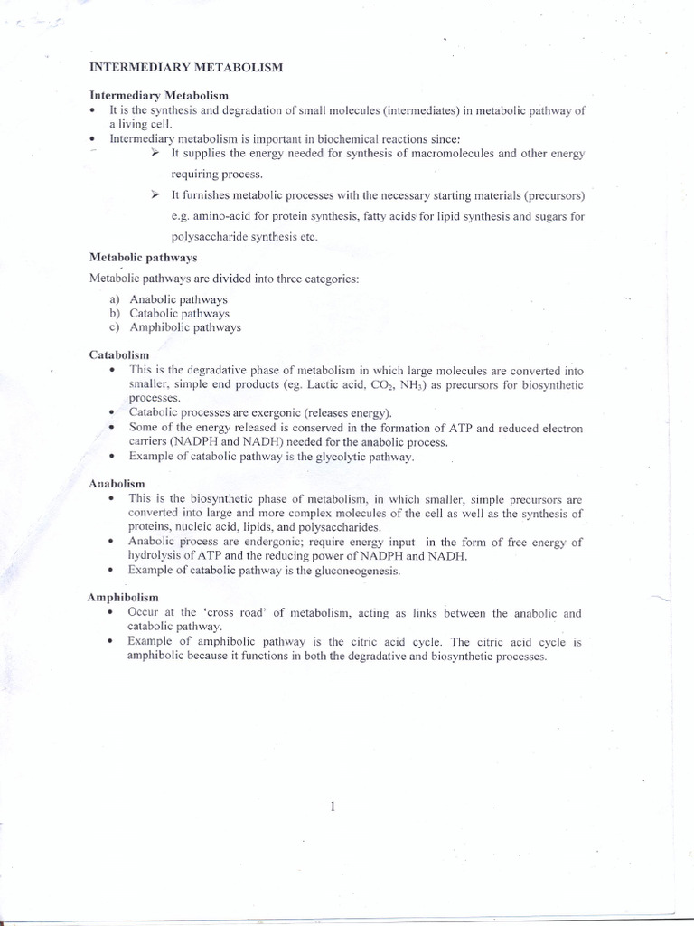 CHO Metabolism Notes | PDF