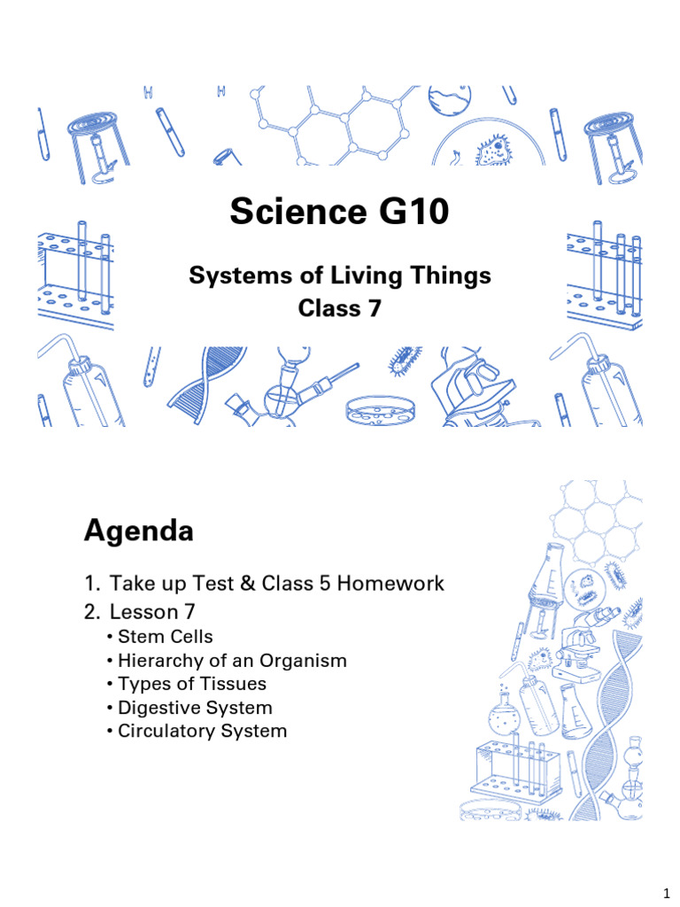 Class07 Science G10 Notes | PDF | Digestion | Gastrointestinal Tract