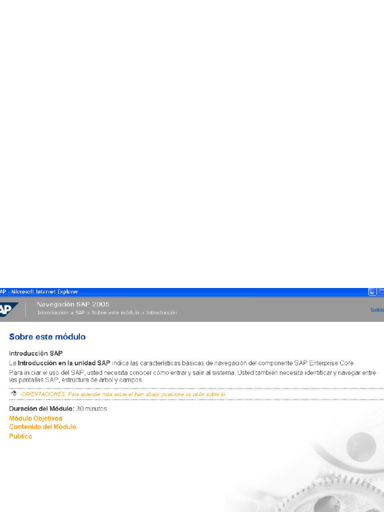 SAP125 SAP Navigation | PDF