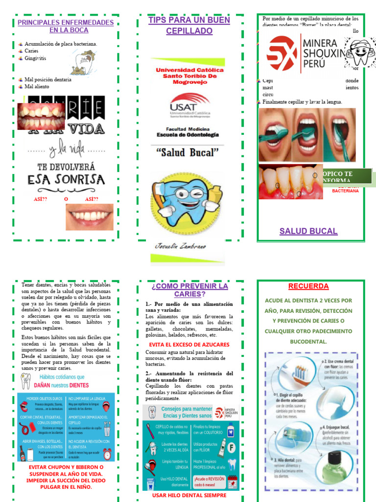 Triptico de Salud Bucal 2 | PDF | Anatomia dental | Especialidades Medicas