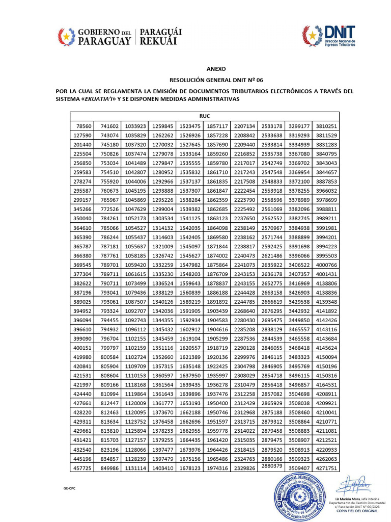 Res. General DNIT #06 - 2024 - Anexo Act | PDF
