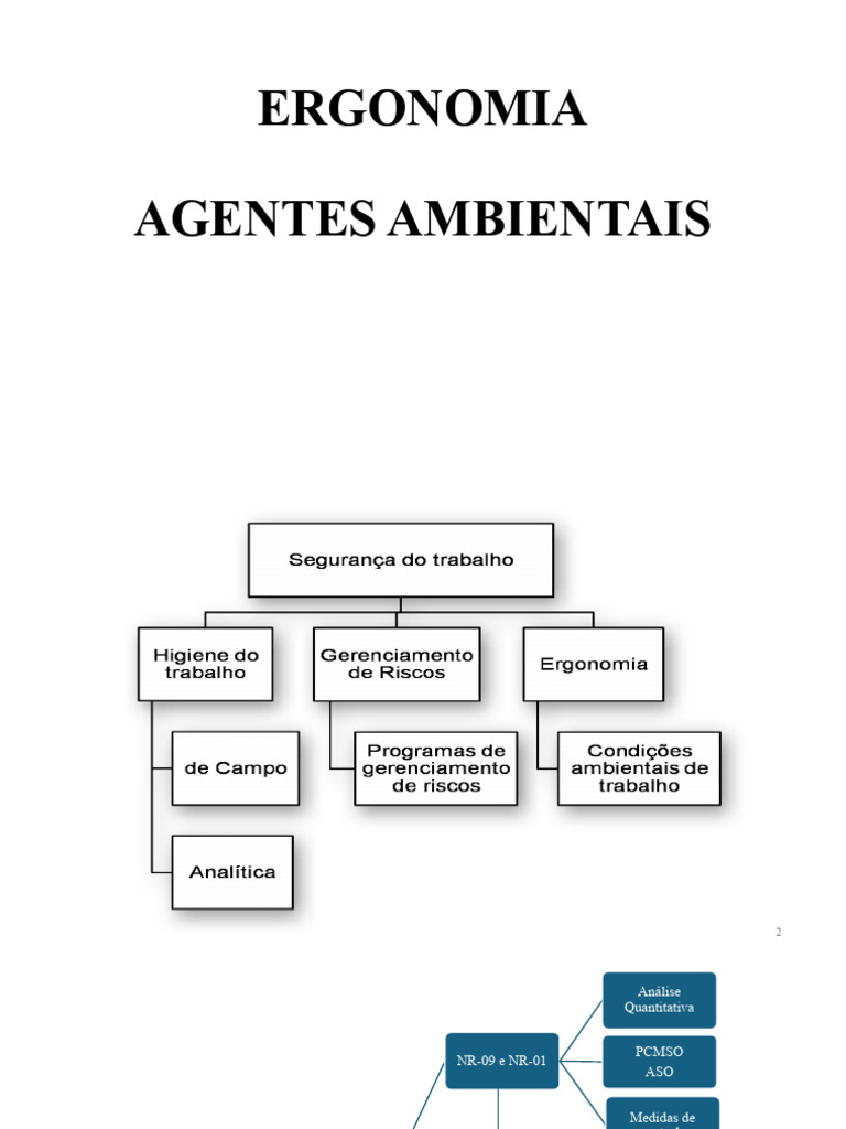 Agentes Ergonomicos e Controle de Riscos | PDF | Som | Iluminação pública