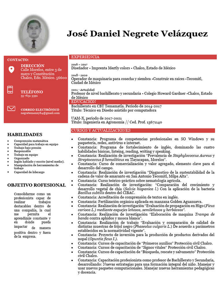CV Daniel | PDF | Arte